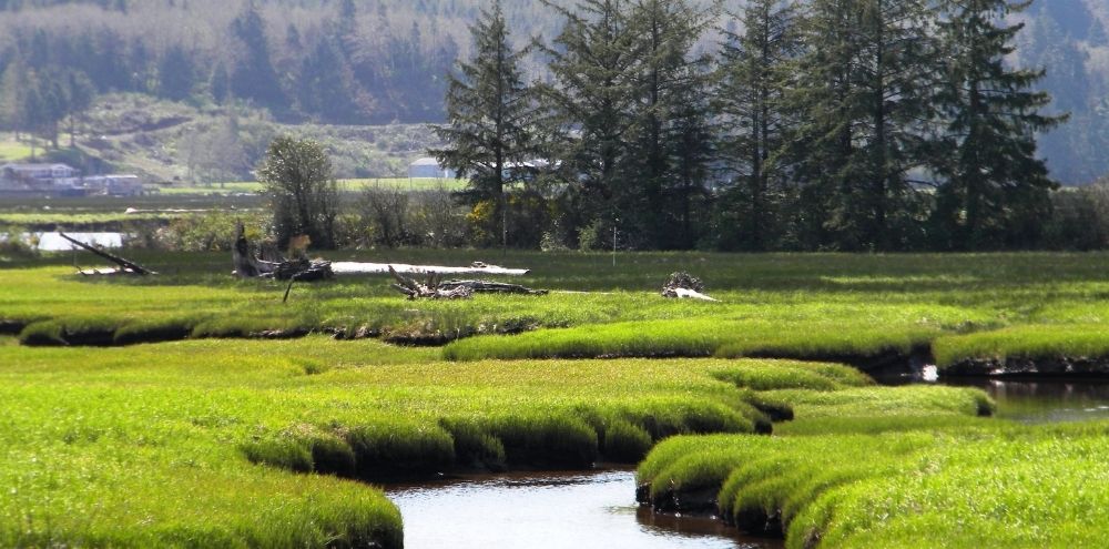 Learn about conserved land and reserves on the Oregon Coast- North ...