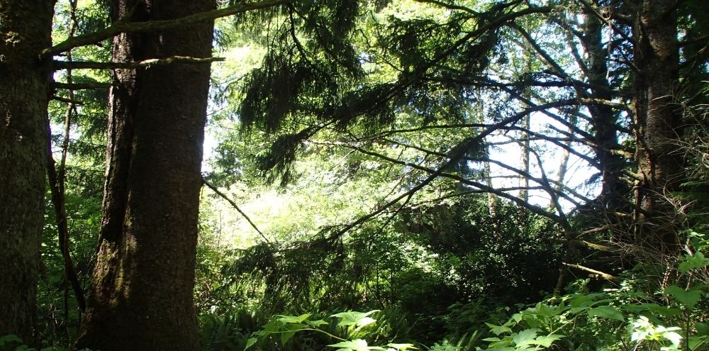 Learn about conserved land and reserves on the Oregon Coast- North ...