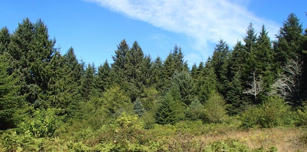 Learn about conserved land and reserves on the Oregon Coast- North ...