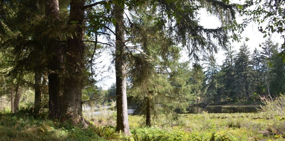 Learn about conserved land and reserves on the Oregon Coast- North ...