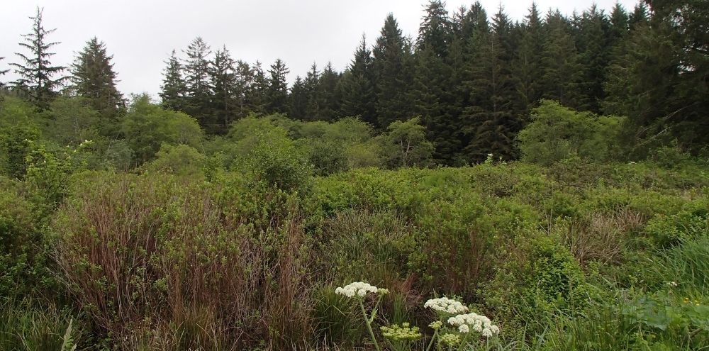 Learn about conserved land and reserves on the Oregon Coast- North ...
