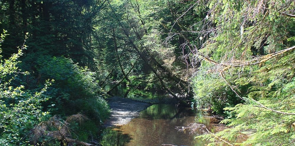 Learn about conserved land and reserves on the Oregon Coast- North ...