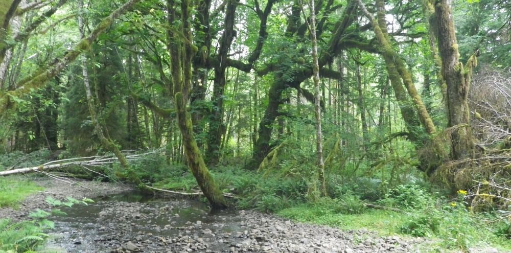 Learn about conserved land and reserves on the Oregon Coast- North ...