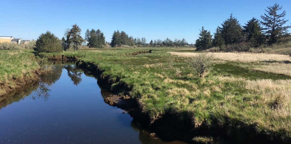 Learn about conserved land and reserves on the Oregon Coast- North ...