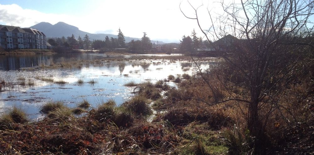 Learn about conserved land and reserves on the Oregon Coast- North ...