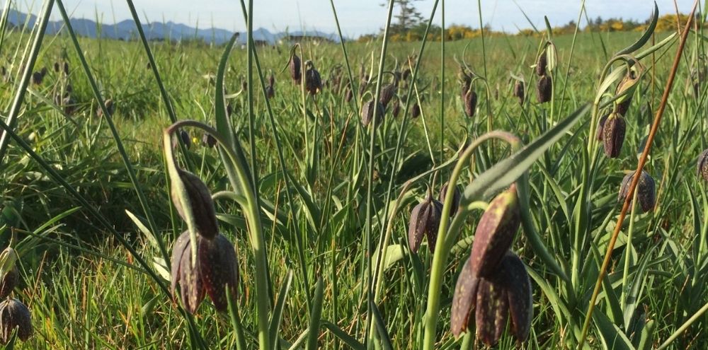 Learn about conserved land and reserves on the Oregon Coast- North ...