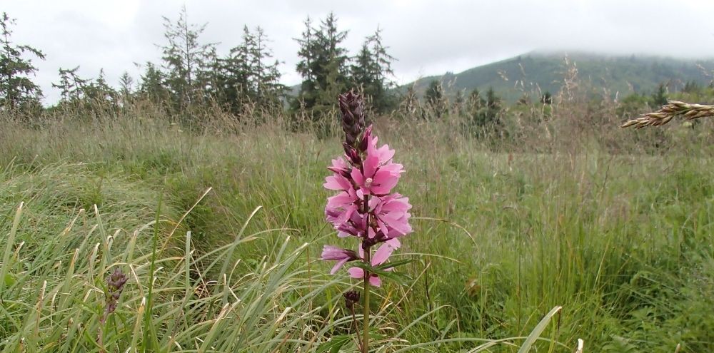 Learn about conserved land and reserves on the Oregon Coast- North ...