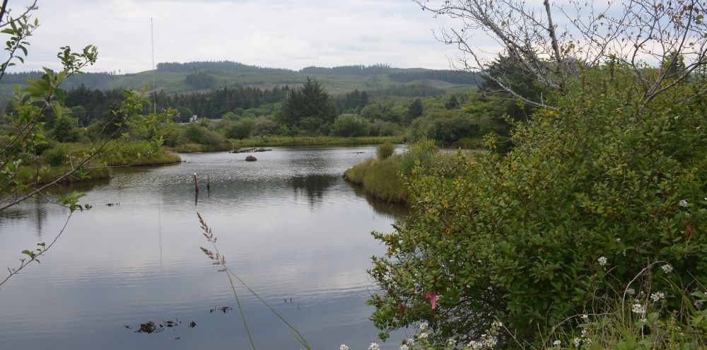 Learn about conserved land and reserves on the Oregon Coast- North ...