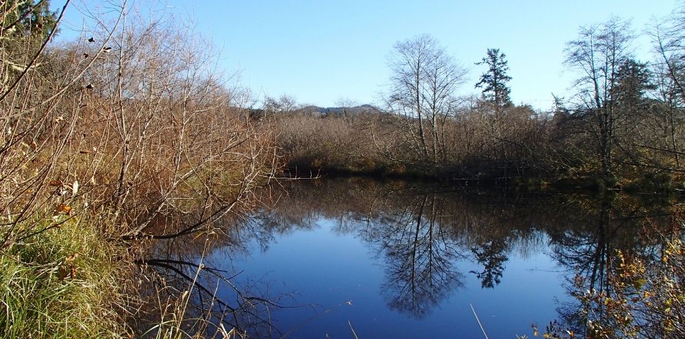 Learn about conserved land and reserves on the Oregon Coast- North ...