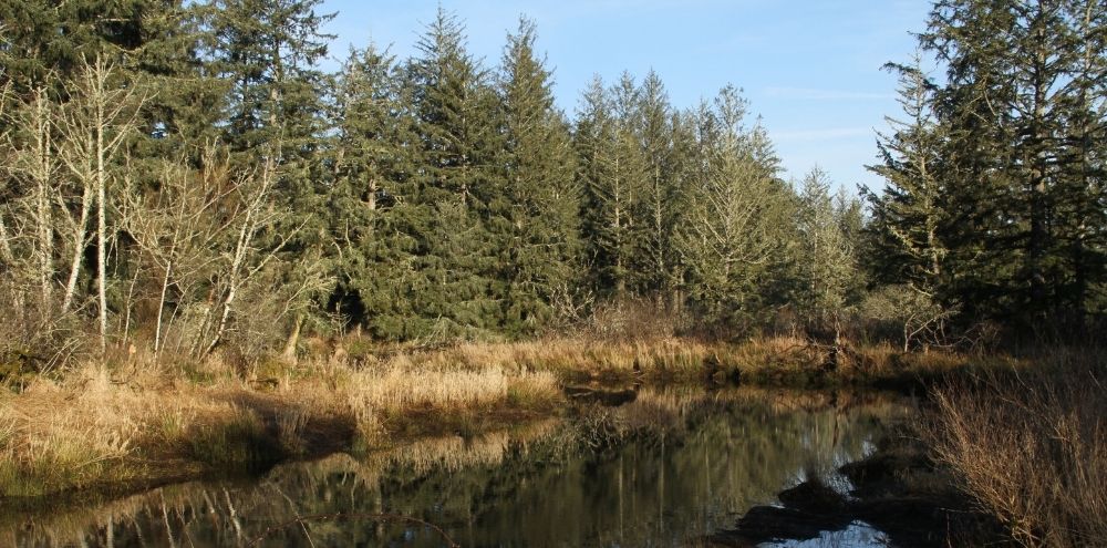 Learn about conserved land and reserves on the Oregon Coast- North ...