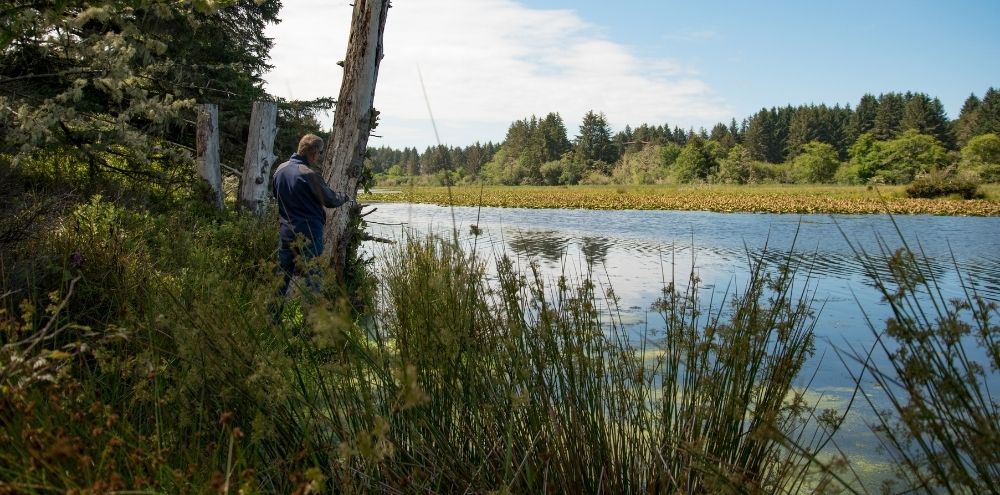 Learn about conserved land and reserves on the Oregon Coast- North ...