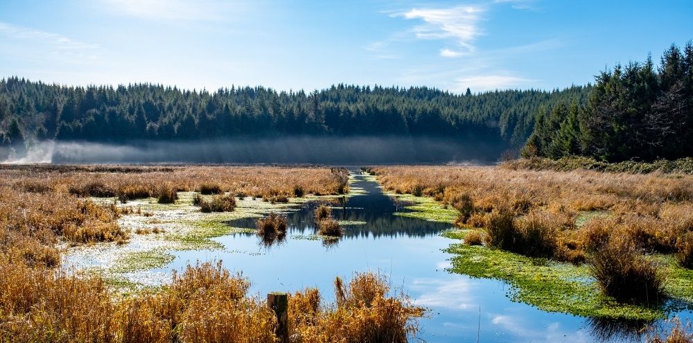 Learn about conserved land and reserves on the Oregon Coast- North ...