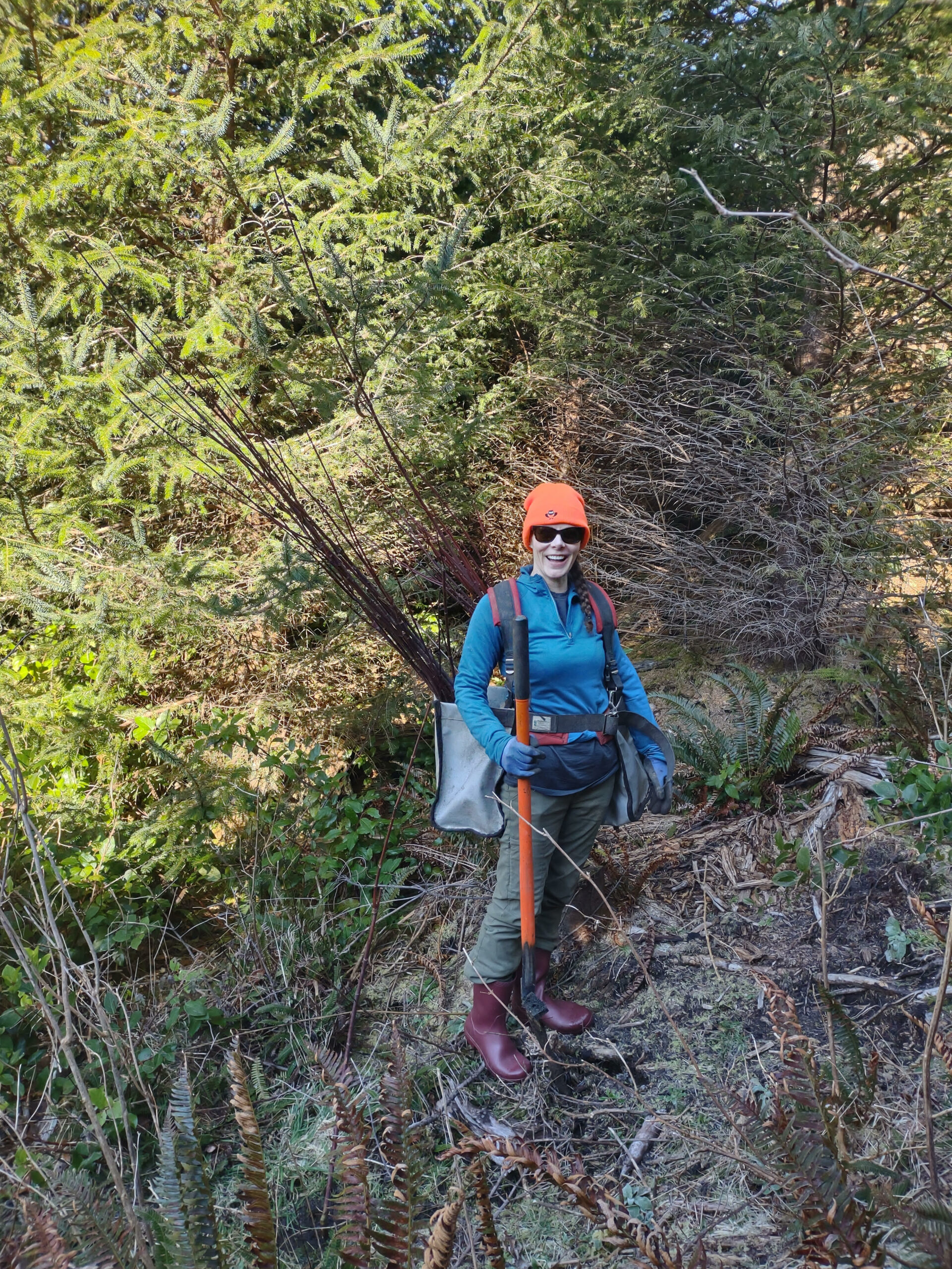 Tree-Planting Project Continues on Boneyard Ridge - North Coast Land ...