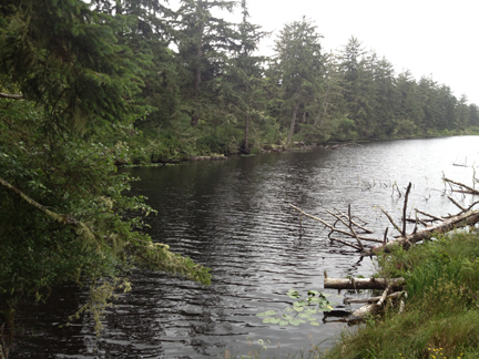 Welcome, Clear Lake! - North Coast Land Conservancy