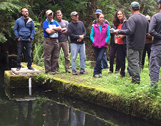 Proposal to create Arch Cape Community Forest advances - North Coast ...