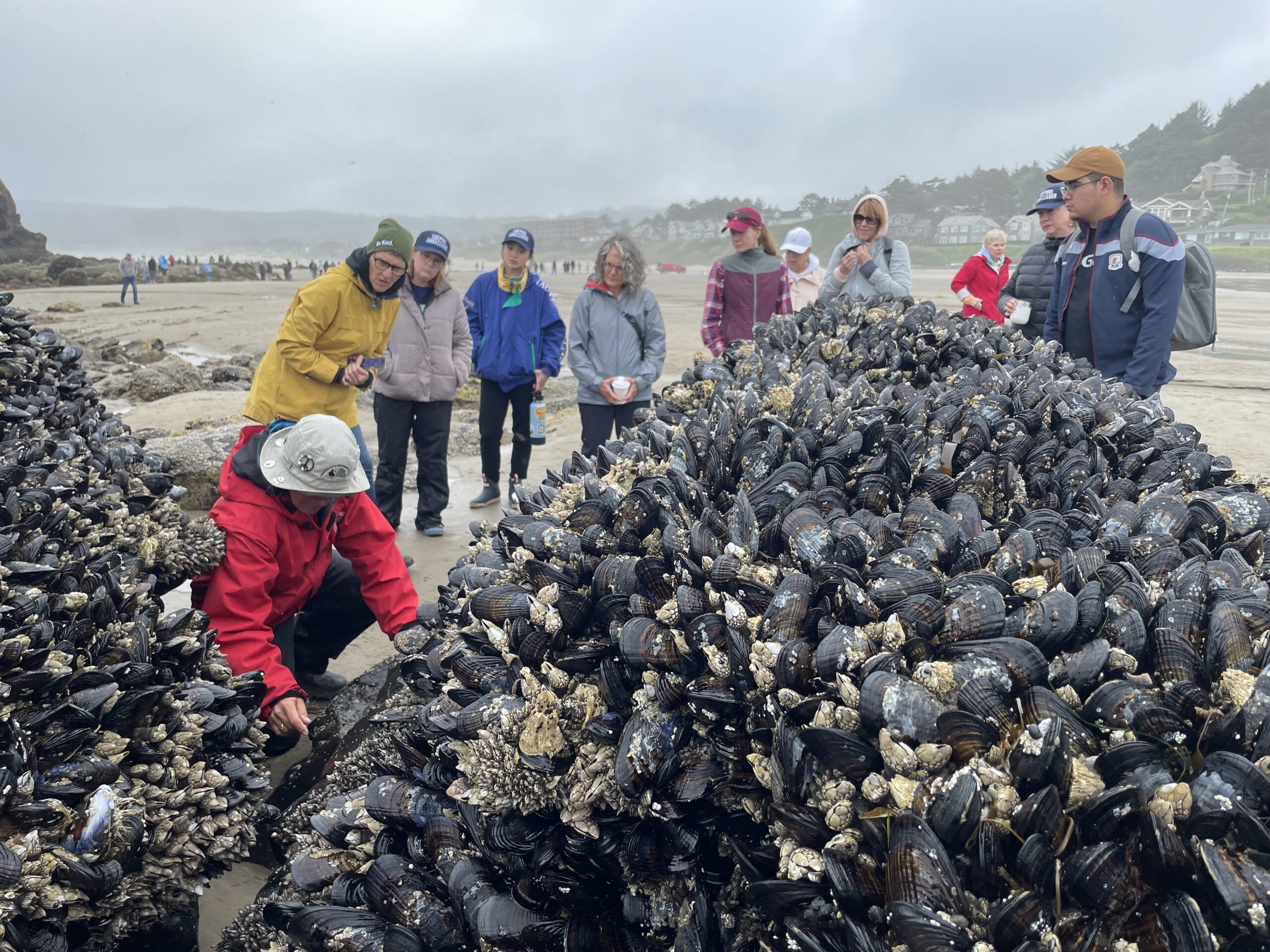 Tidepool Ambassador Program Gears Up for Third Season at Cape Falcon ...