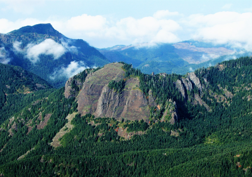 Getting to Know the Rainforest Reserve - North Coast Land Conservancy