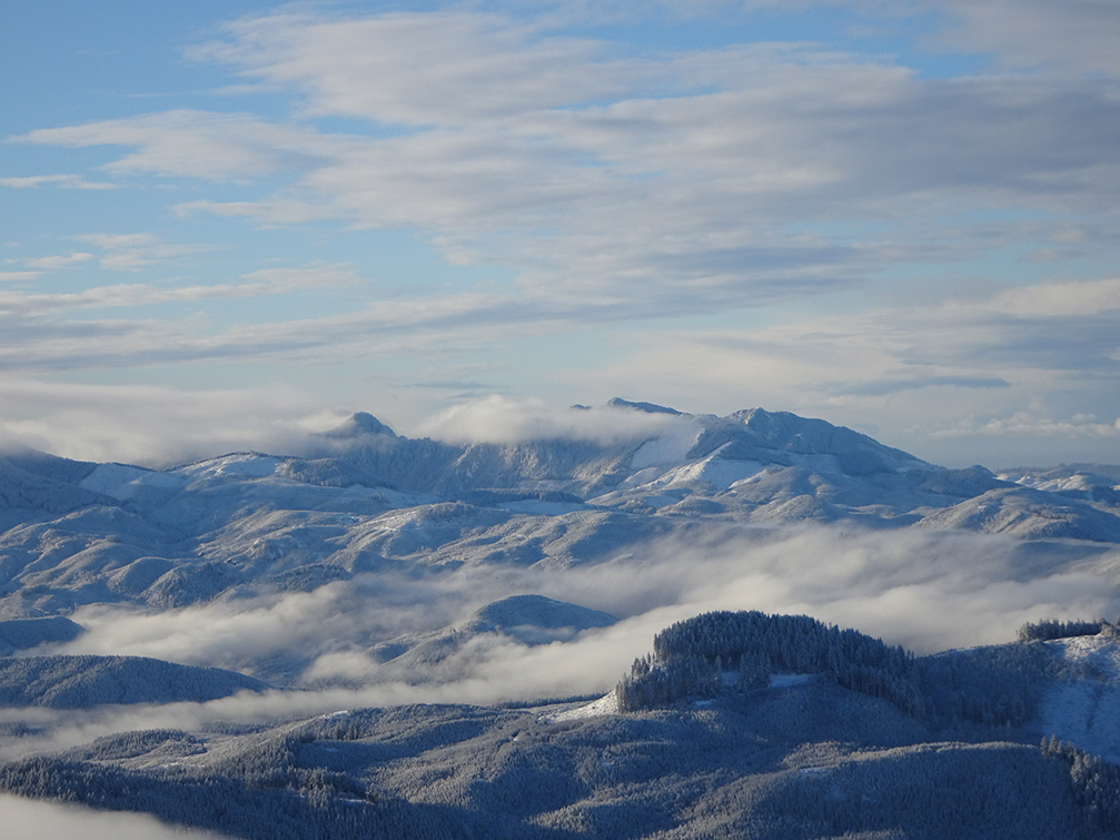 Rainforest Reserve Gallery - North Coast Land Conservancy