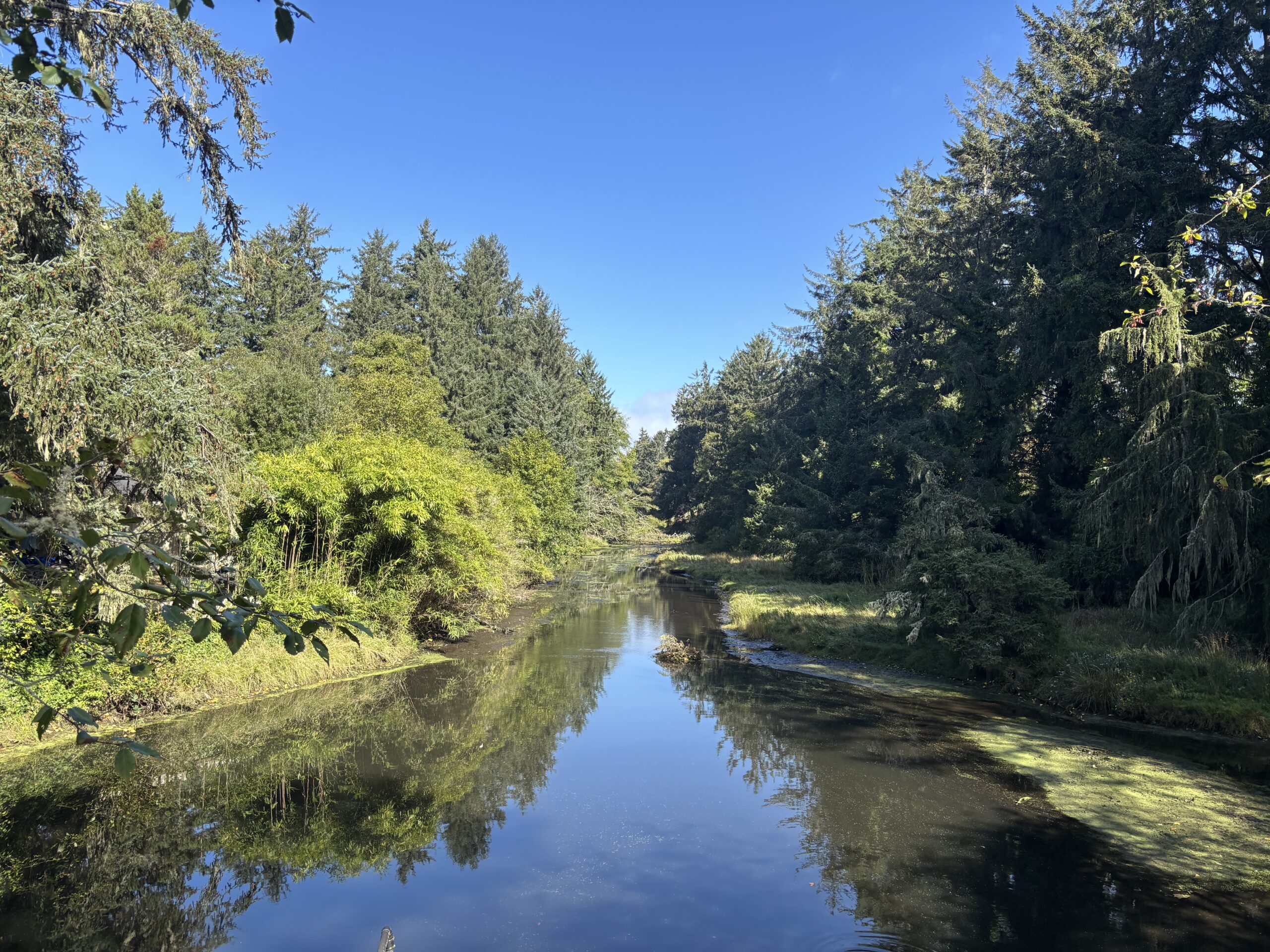 Learn about conserved land and reserves on the Oregon Coast- North ...