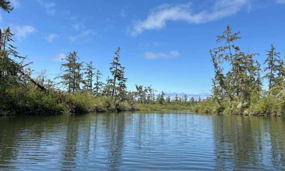Conserved: NCLC Expands Rare Habitat Preserve on Lower Columbia River ...